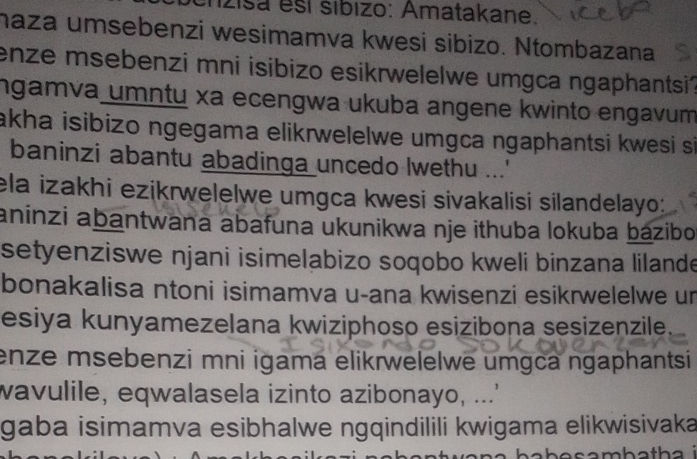 enze msebenzi mni isibizo esikrwelelwe umgca | StudyX