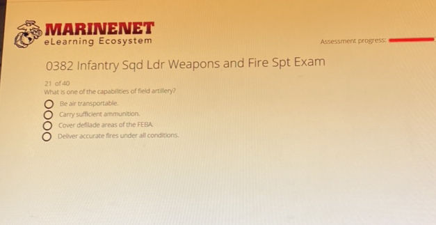 0382 Infantry Sqd Ldr Weapons and Fire Spt