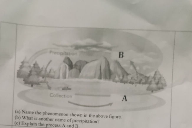 (a) Name the phenomenon shown in the above | StudyX