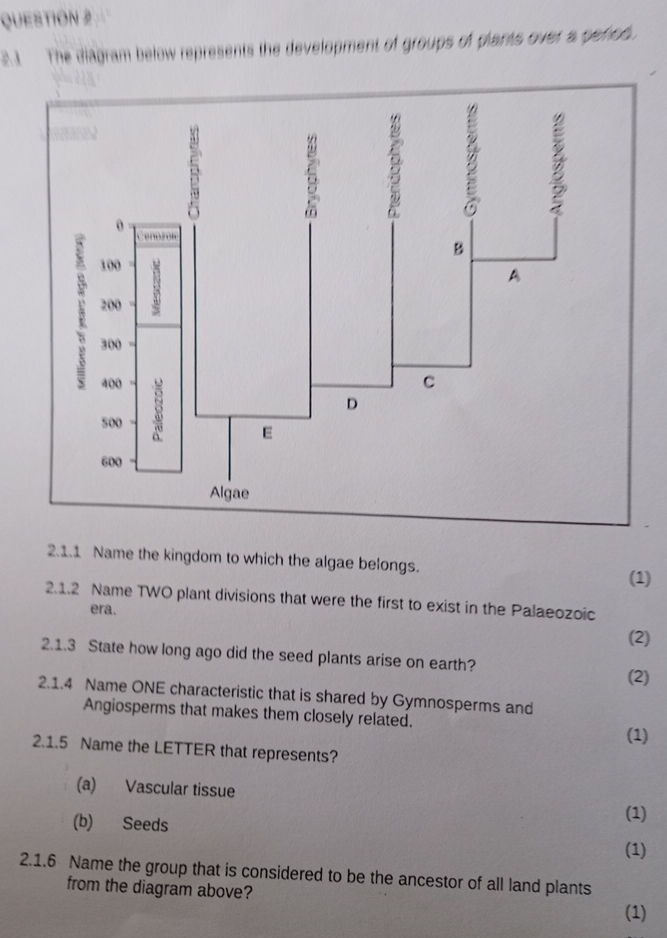 21 The diagram below represents the | StudyX