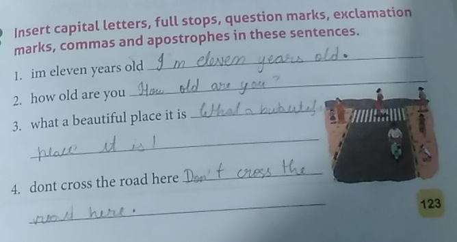 Insert capital letters full stops question | StudyX