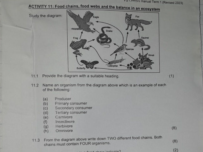 ACTIVITY 11: Food chains, food webs and the | StudyX
