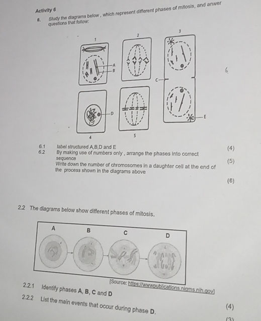 6. Study the diagrams below, which represent | StudyX