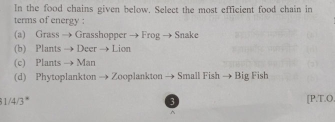 In the food chains given below. Select the | StudyX