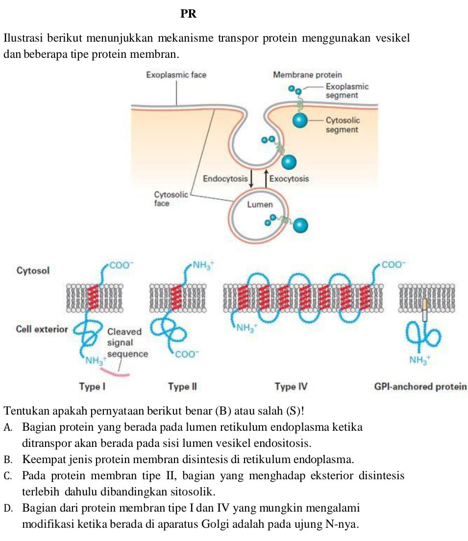 Ilustrasi berikut menunjukkan mekanisme | StudyX