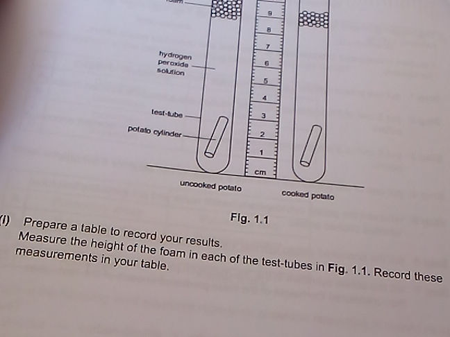 (1) Prepare a table to record your results. | StudyX