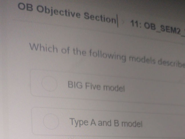 Which of the following models describe BIG | StudyX