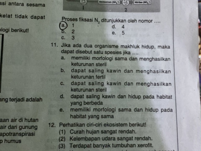 Proses fiksasi N2 ditunjukkan oleh nomor a 1