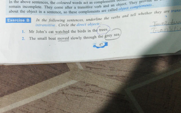 In the following sentences underline the | StudyX