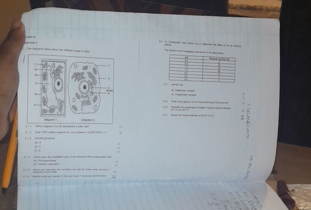 The diagrams below show two different types | StudyX