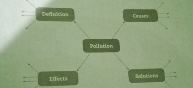 Create a mind map about pollution The | StudyX