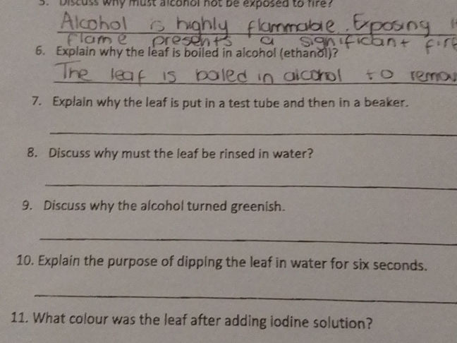 6 Explain why the leaf is boiled in alcohol