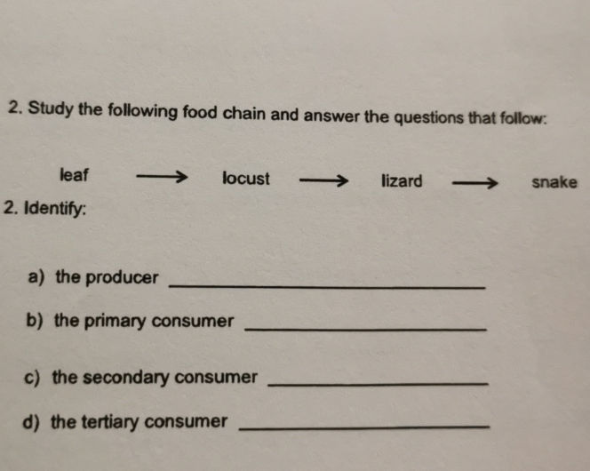 2. Study the following food chain and answer | StudyX