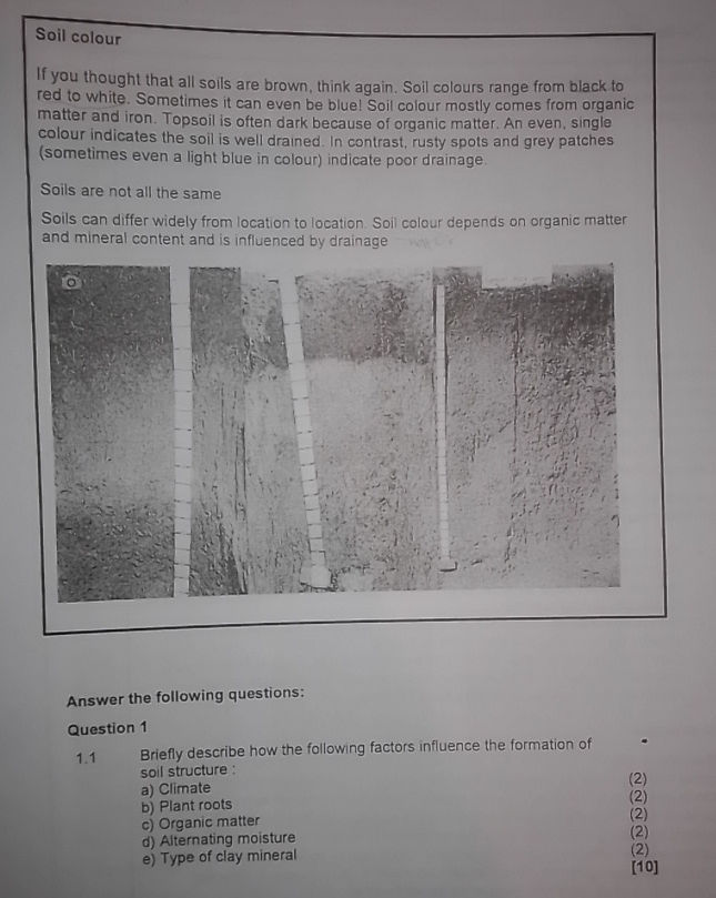 Soil colour If you thought that all soils | StudyX