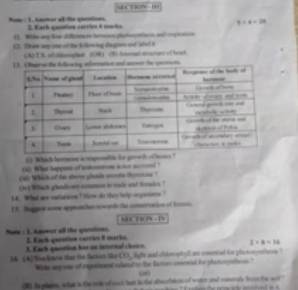SECTION-81 11. Write any four differences | StudyX