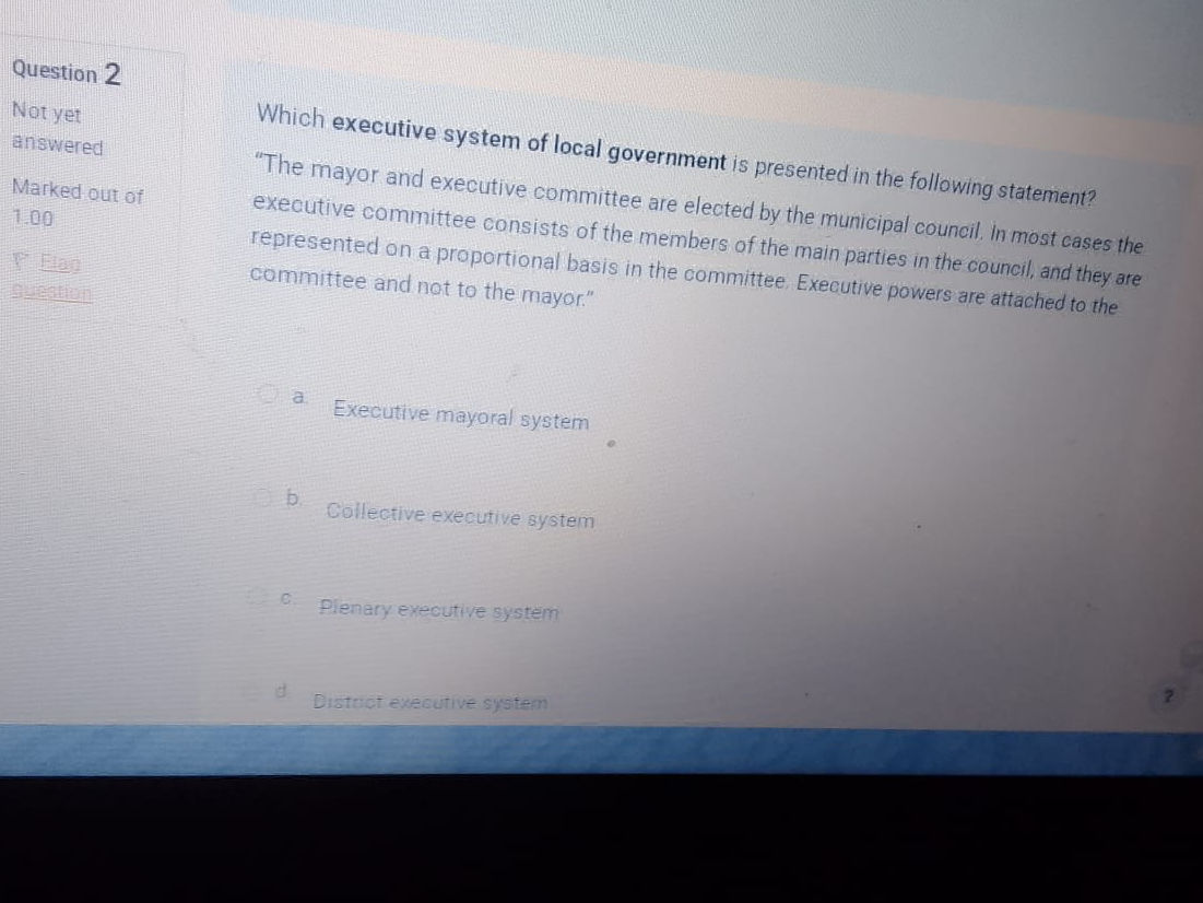 Which executive system of local government