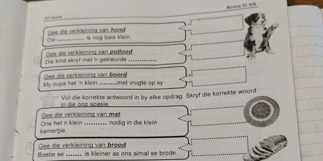Gee die verkleining van hond | StudyX