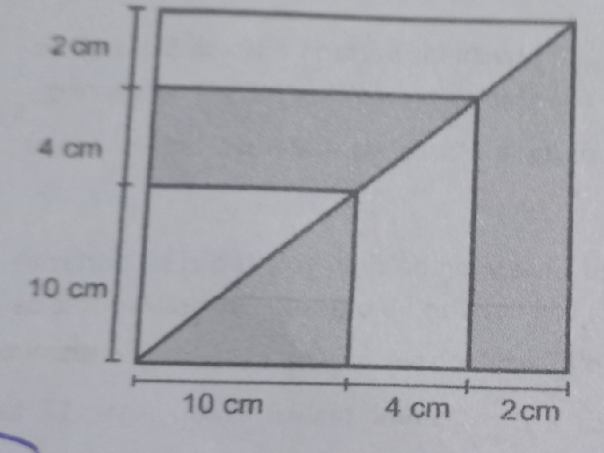 The image shows a composite figure made up | StudyX