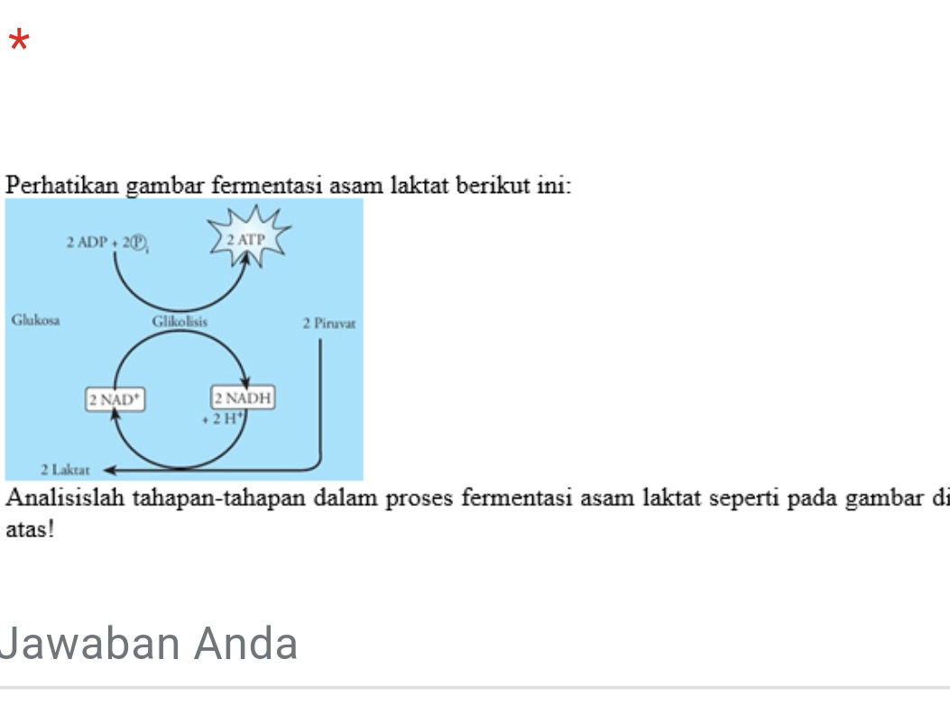 Perhatikan gambar fermentasi asam laktat | StudyX
