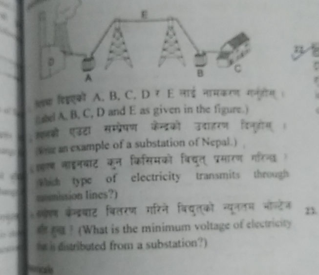 Label A, B, C, D and E as given in the | StudyX