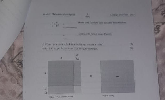 Grade 11 Mathematics Investigation ca-4a2 + | StudyX