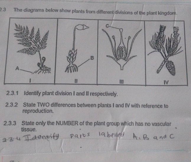 2.3 The diagrams below show plants from | StudyX