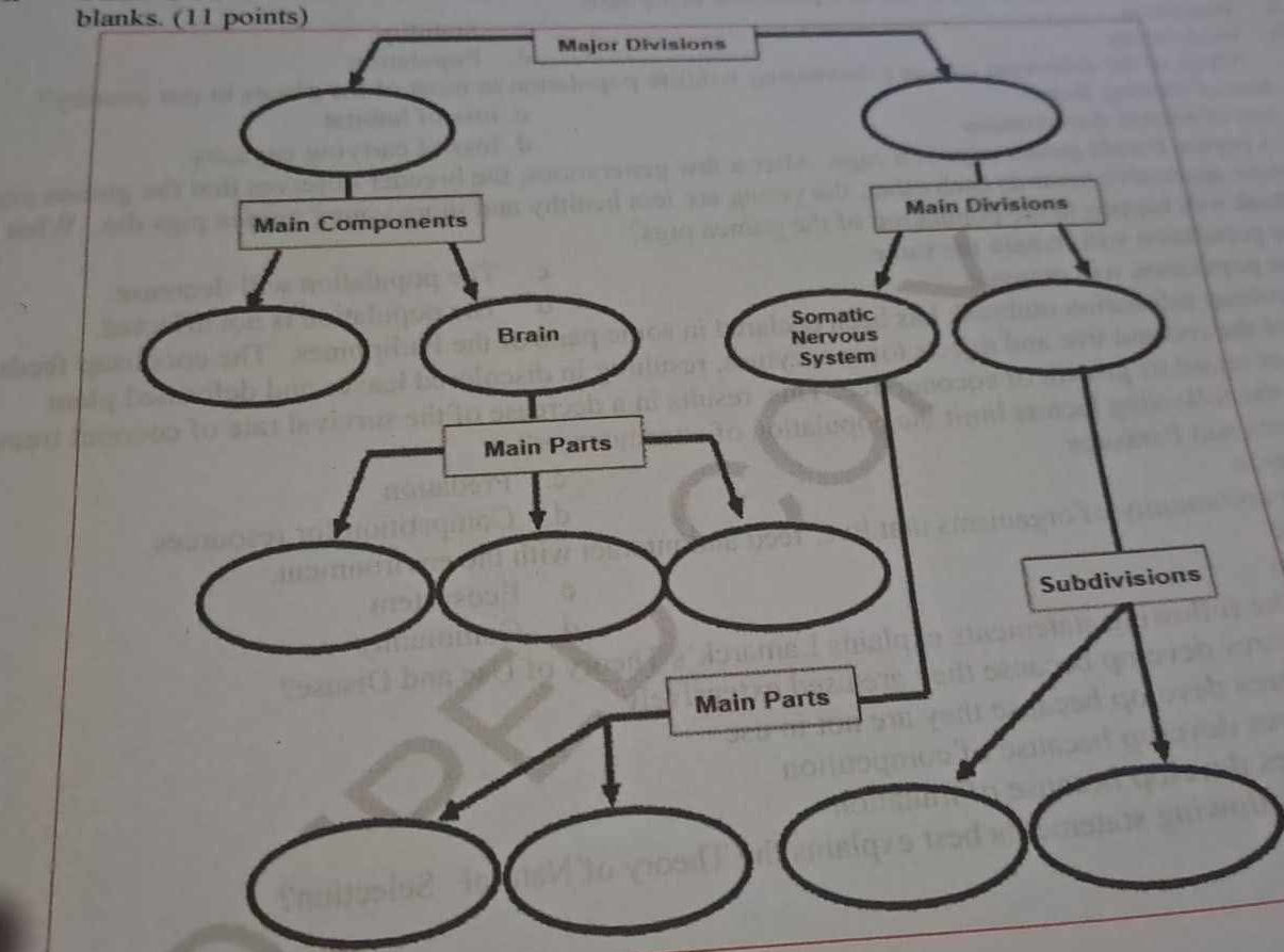 Fill in the blanks in the following diagram | StudyX