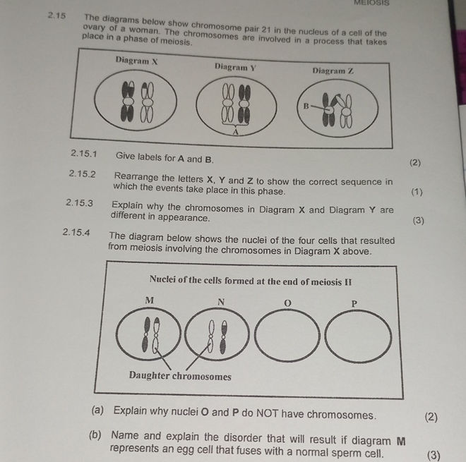 The diagrams below show chromosome pair 21 | StudyX