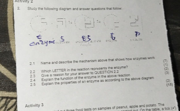 Study the following diagram and answer | StudyX