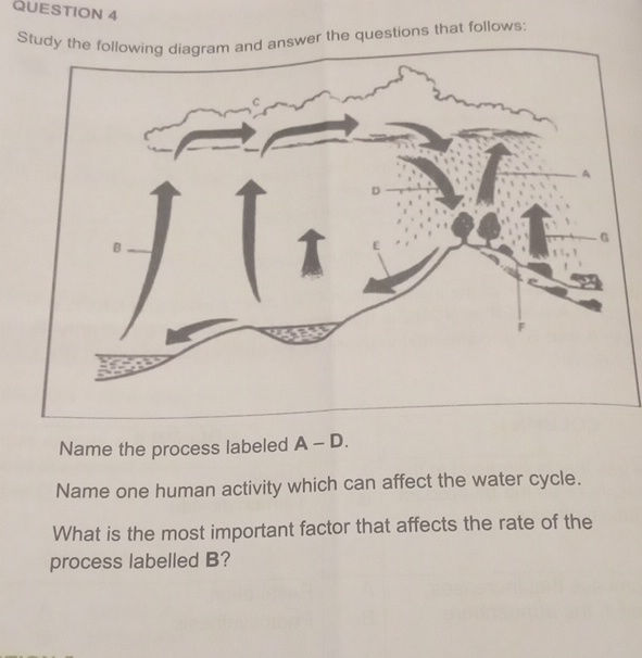 Study the following diagram and answer the | StudyX