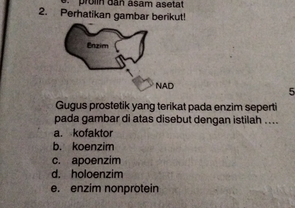Perhatikan gambar berikut image(imagelink) | StudyX