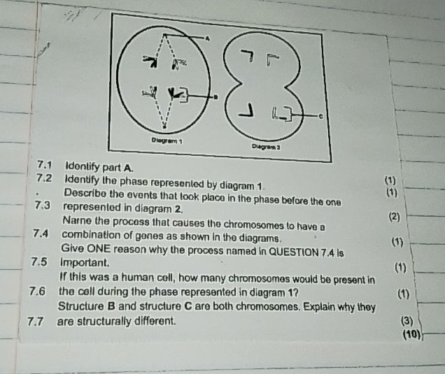 71 Identify part A 72 Identify the phase | StudyX