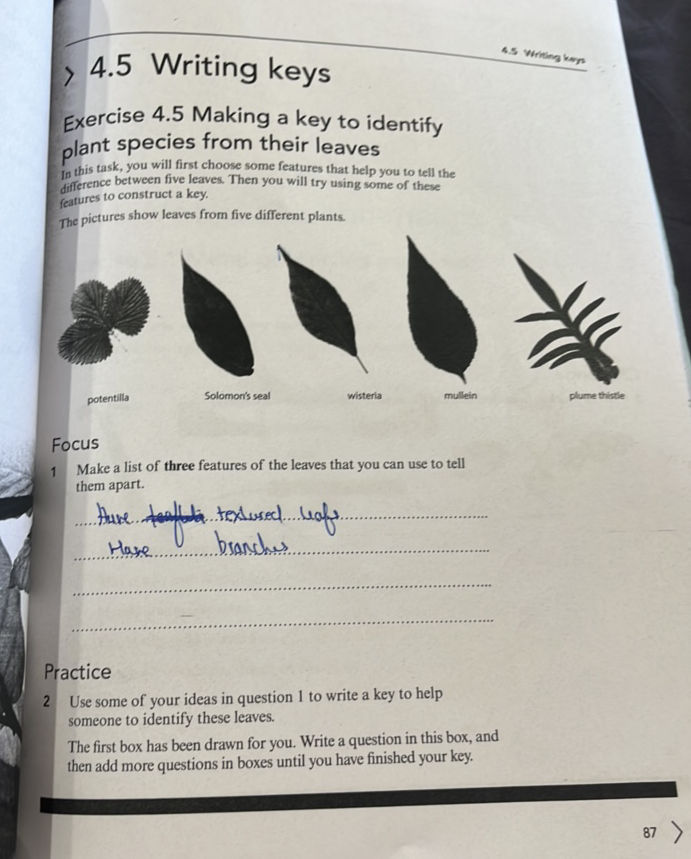 Make a list of three features of the leaves | StudyX