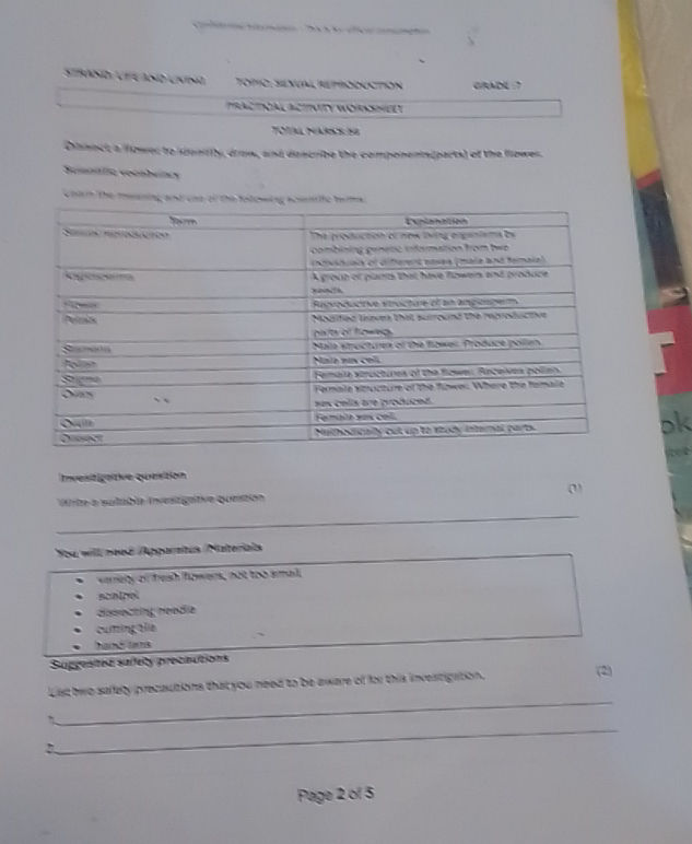 Observe a flower to identify, draw, and | StudyX