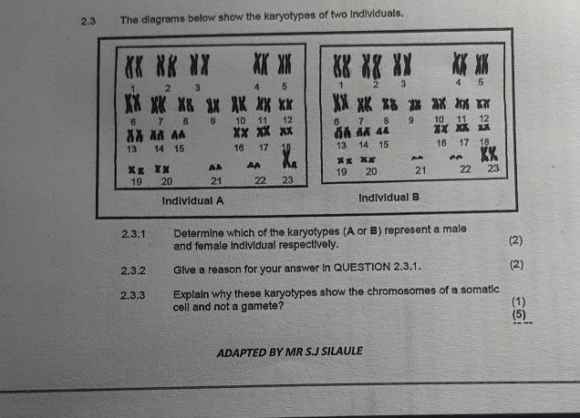 2.3 The diagrams below show the karyotypes | StudyX