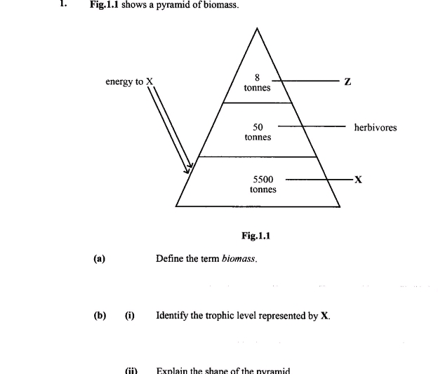 1 Fig11 shows a pyramid of biomass (a) | StudyX