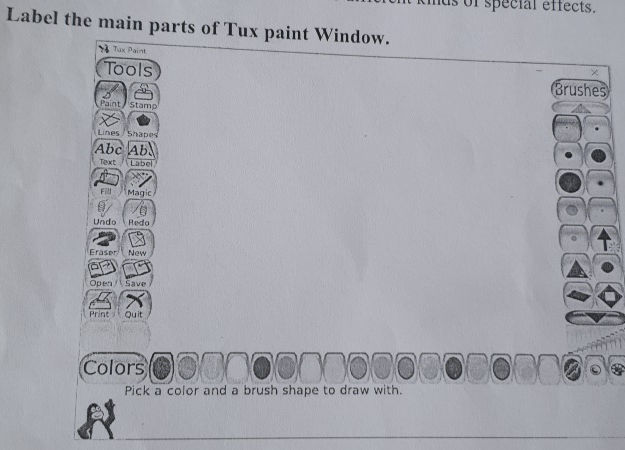 Label the main parts of Tux paint Window. | StudyX