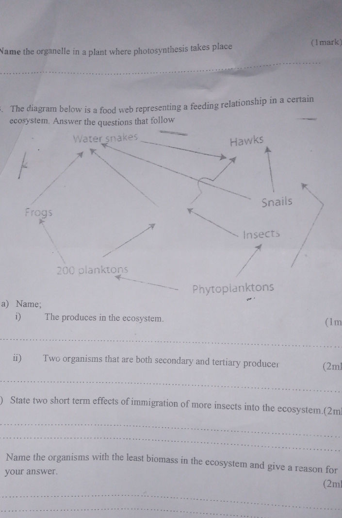 The diagram below is a food web representing | StudyX