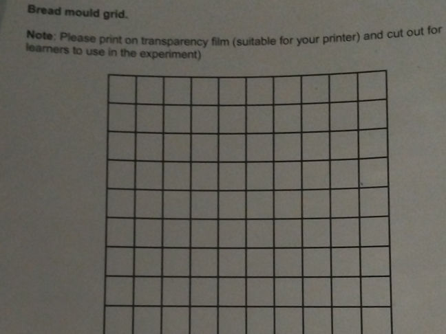 Bread mould grid Note Please print on | StudyX