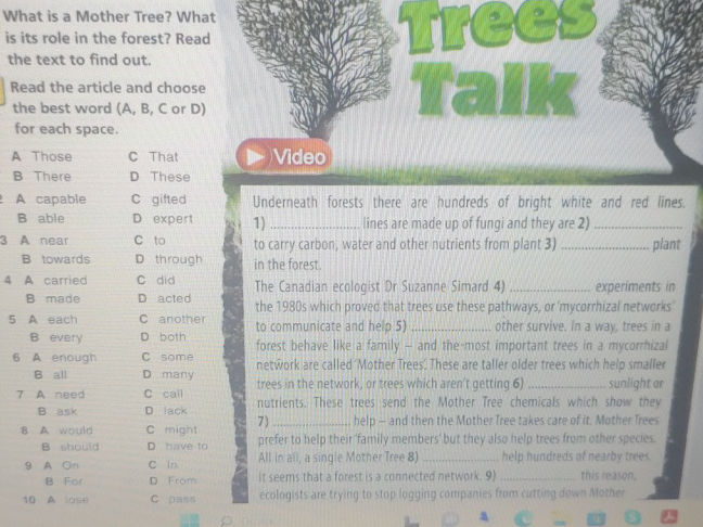 What is a Mother Tree? What is its role in | StudyX