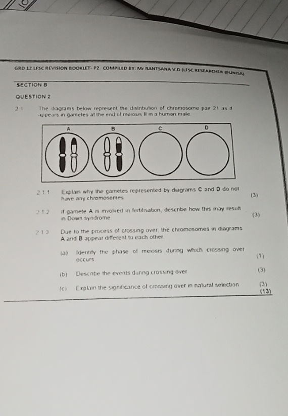 The diagrams below represent the | StudyX