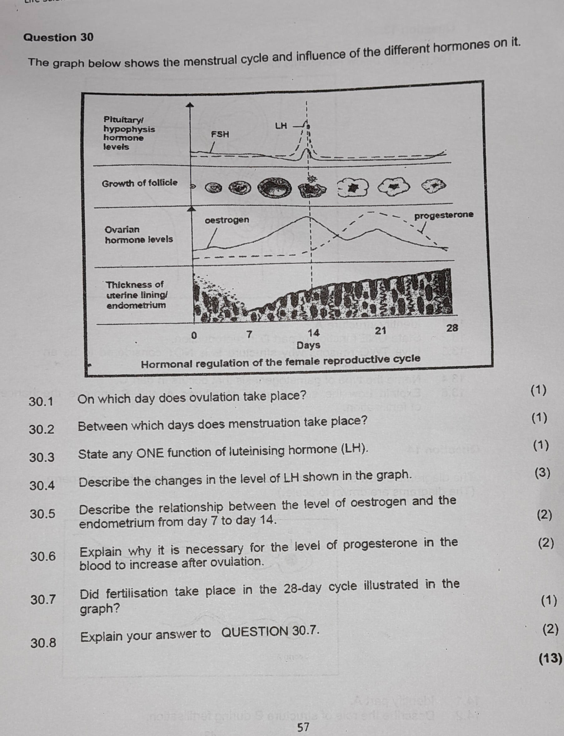 Question 30 The graph below shows the | StudyX