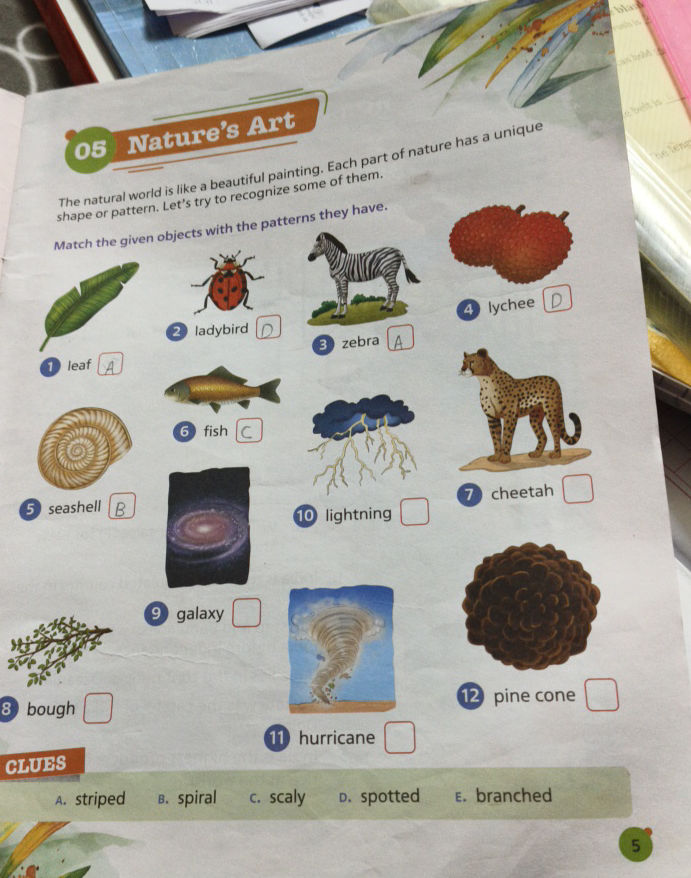 Match the given objects with the patterns | StudyX