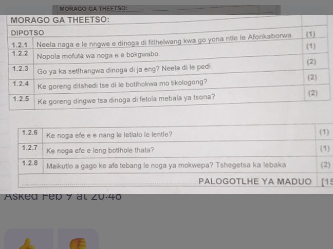 MORAGO GA THEETSO: DIPOTSO 1.2.1 Neela | StudyX