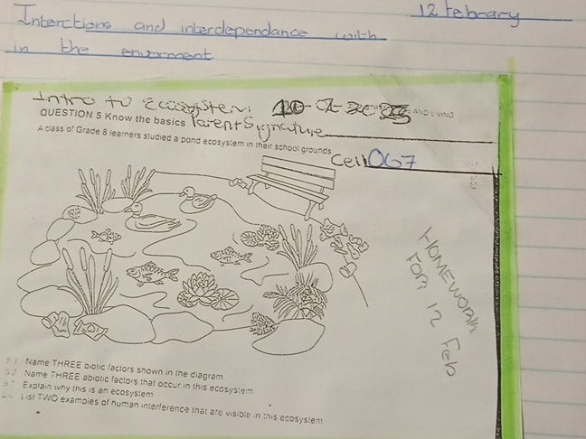 A class of Grade 5 learners studied a pond | StudyX