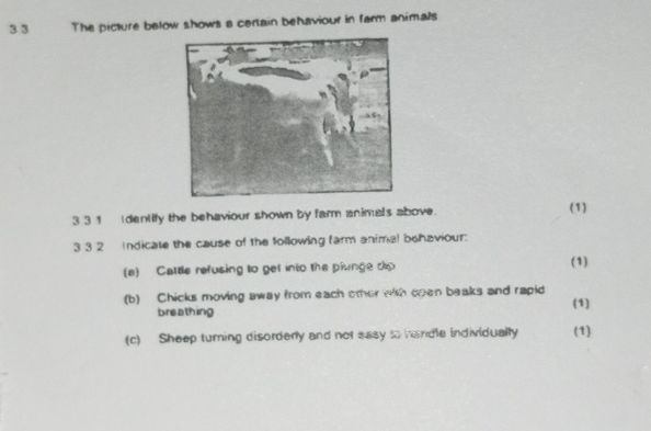 331 Identify the behaviour shown by farm | StudyX