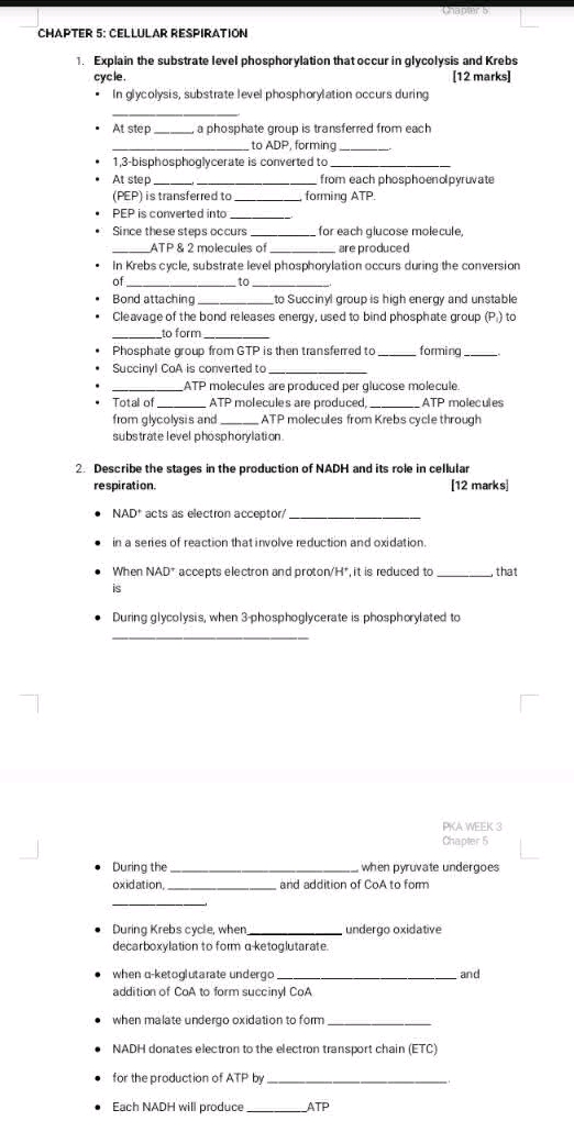 CHAPTER 5 CELLULAR RESPIRATION 1 Explain the | StudyX