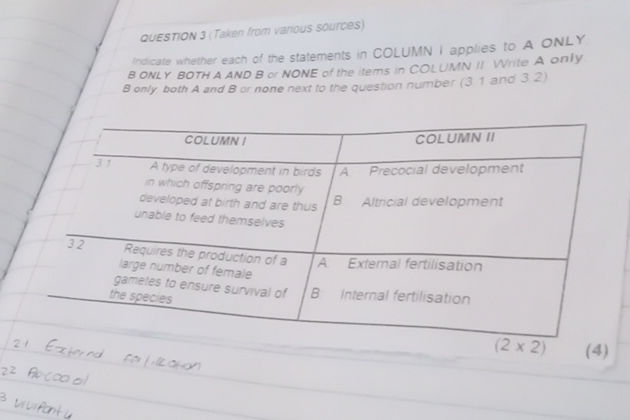 QUESTION 3 (Taken from various sources) | StudyX