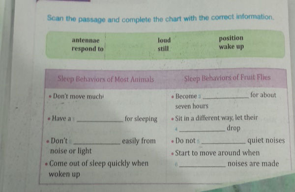 Scan the passage and complete the chart with | StudyX