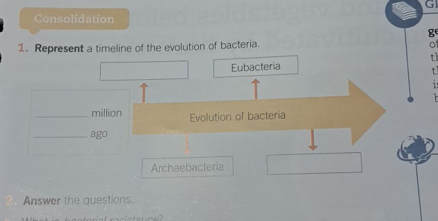 1 Represent a timeline of the evolution of | StudyX